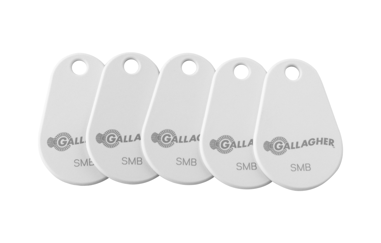 Gallagher SMB Key Tags X10 - Clear Digital